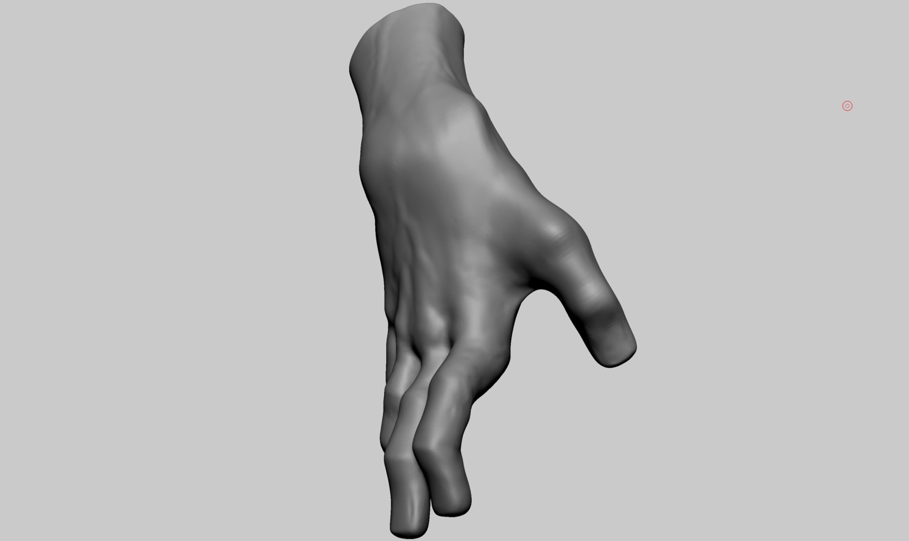 Hand Anatomy 3D - TurboSquid 1567431
