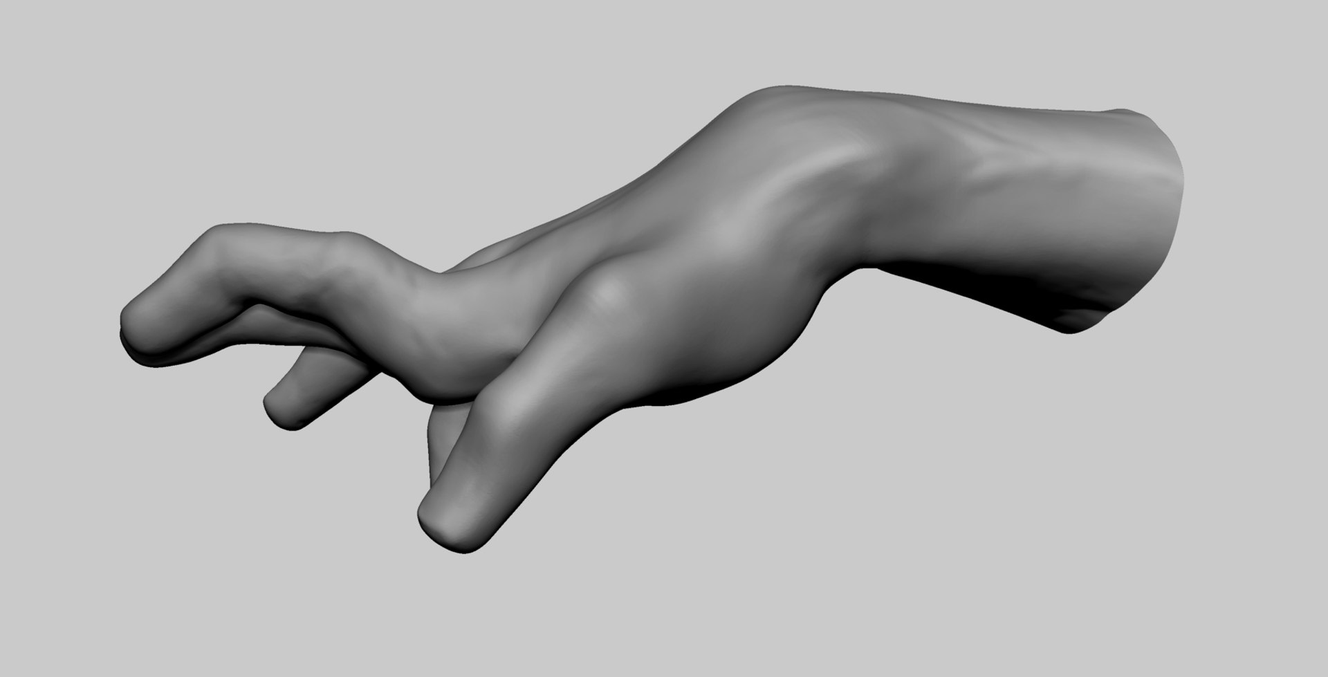 Hand Anatomy 3D - TurboSquid 1567431
