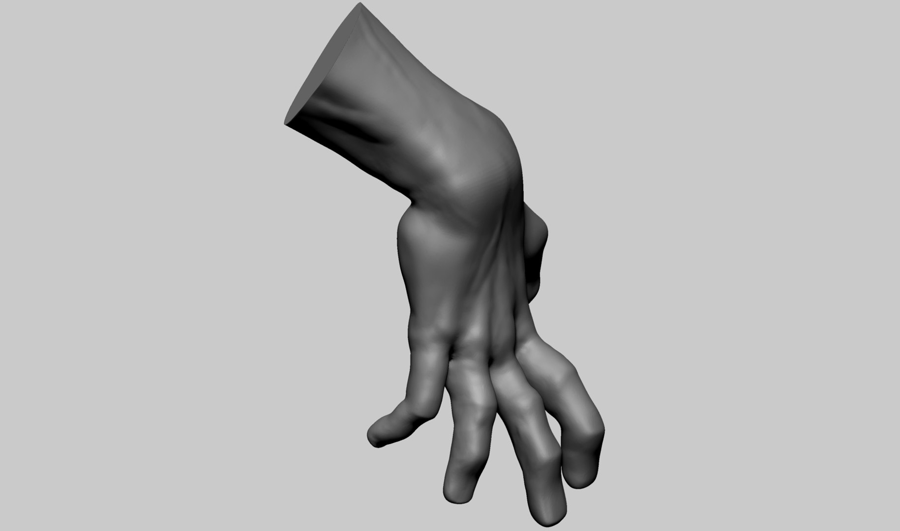 Hand Anatomy 3D - TurboSquid 1567431