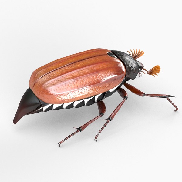 bug closed wings 3d 3ds