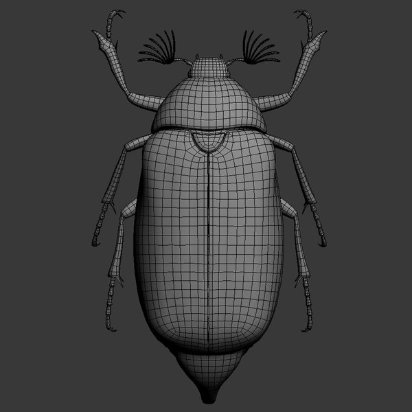 bug closed wings 3d 3ds