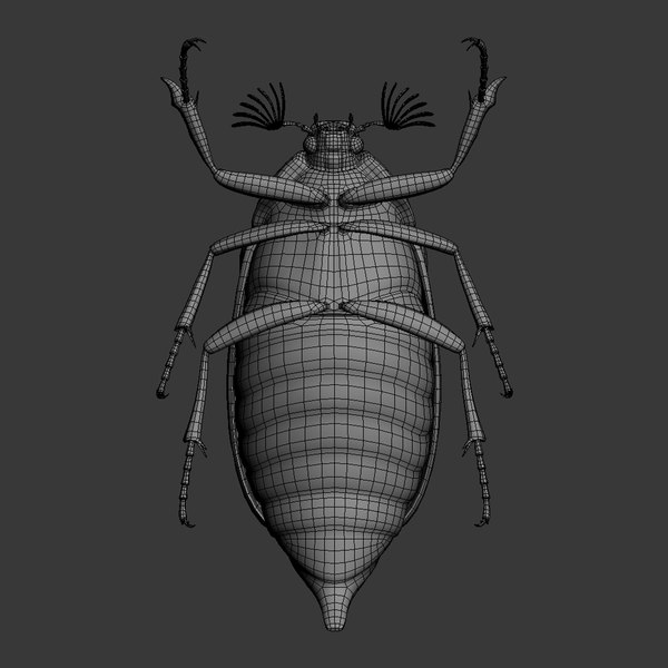 bug closed wings 3d 3ds