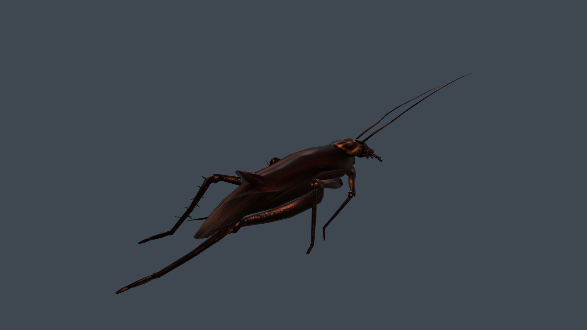 3D Cockroach Model - TurboSquid 2175959