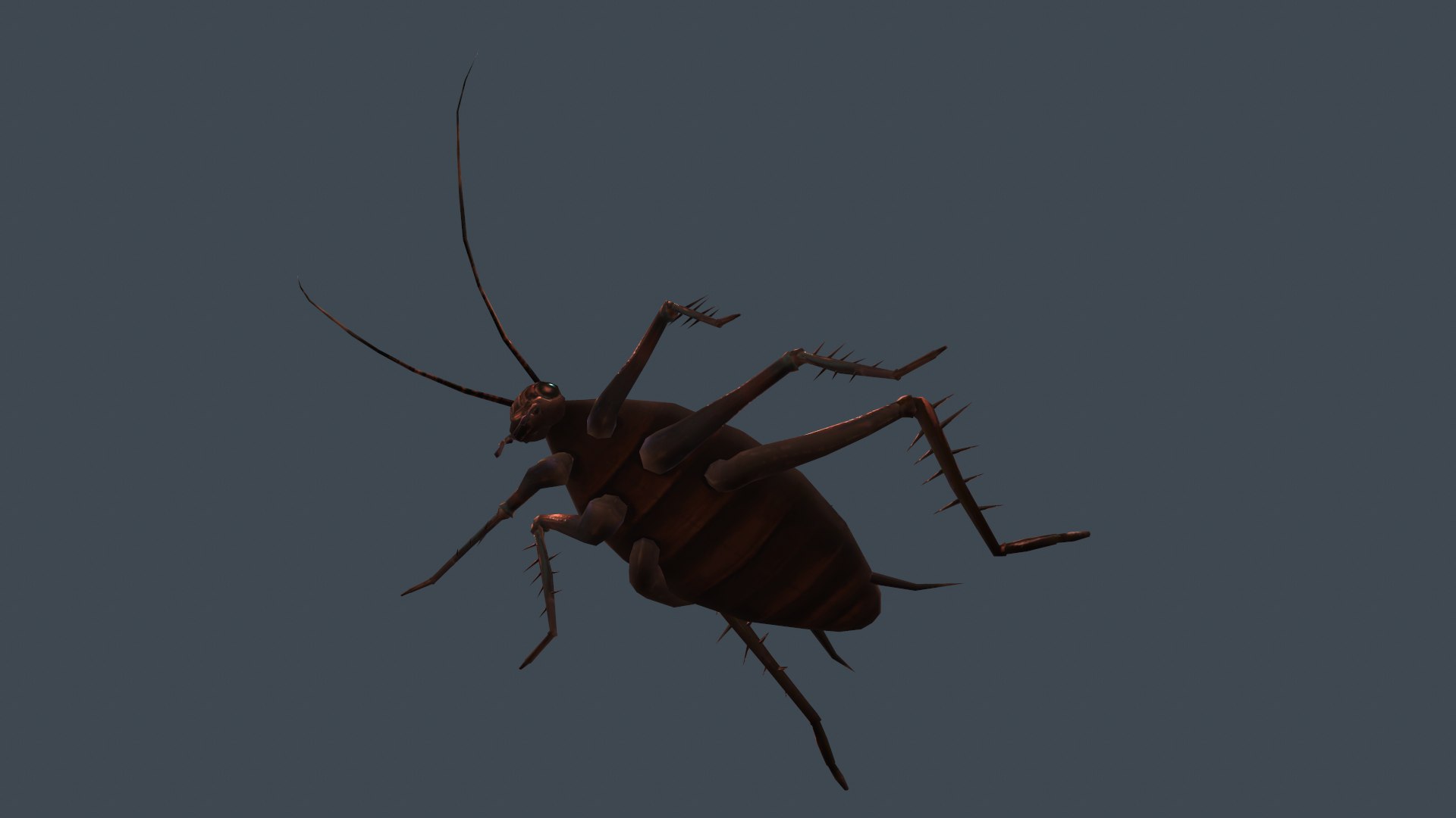 3D Cockroach Model - TurboSquid 2175959