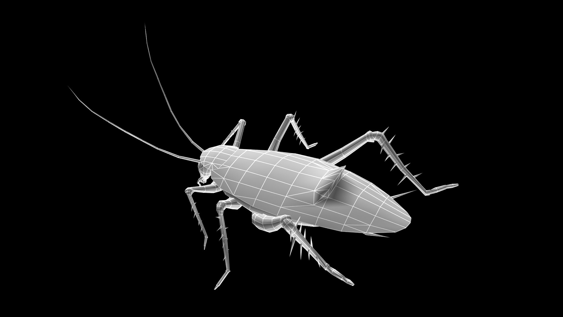 3D Cockroach Model - TurboSquid 2175959