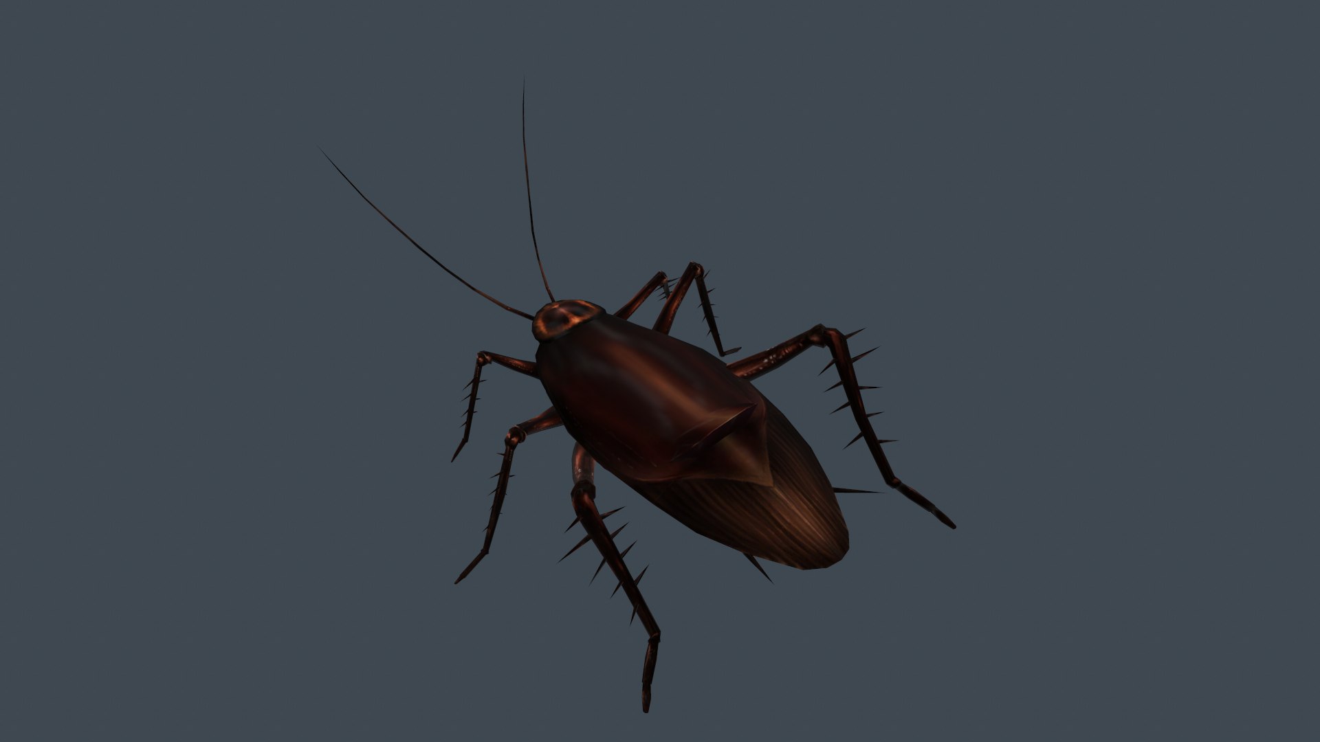 3D Cockroach Model - TurboSquid 2175959