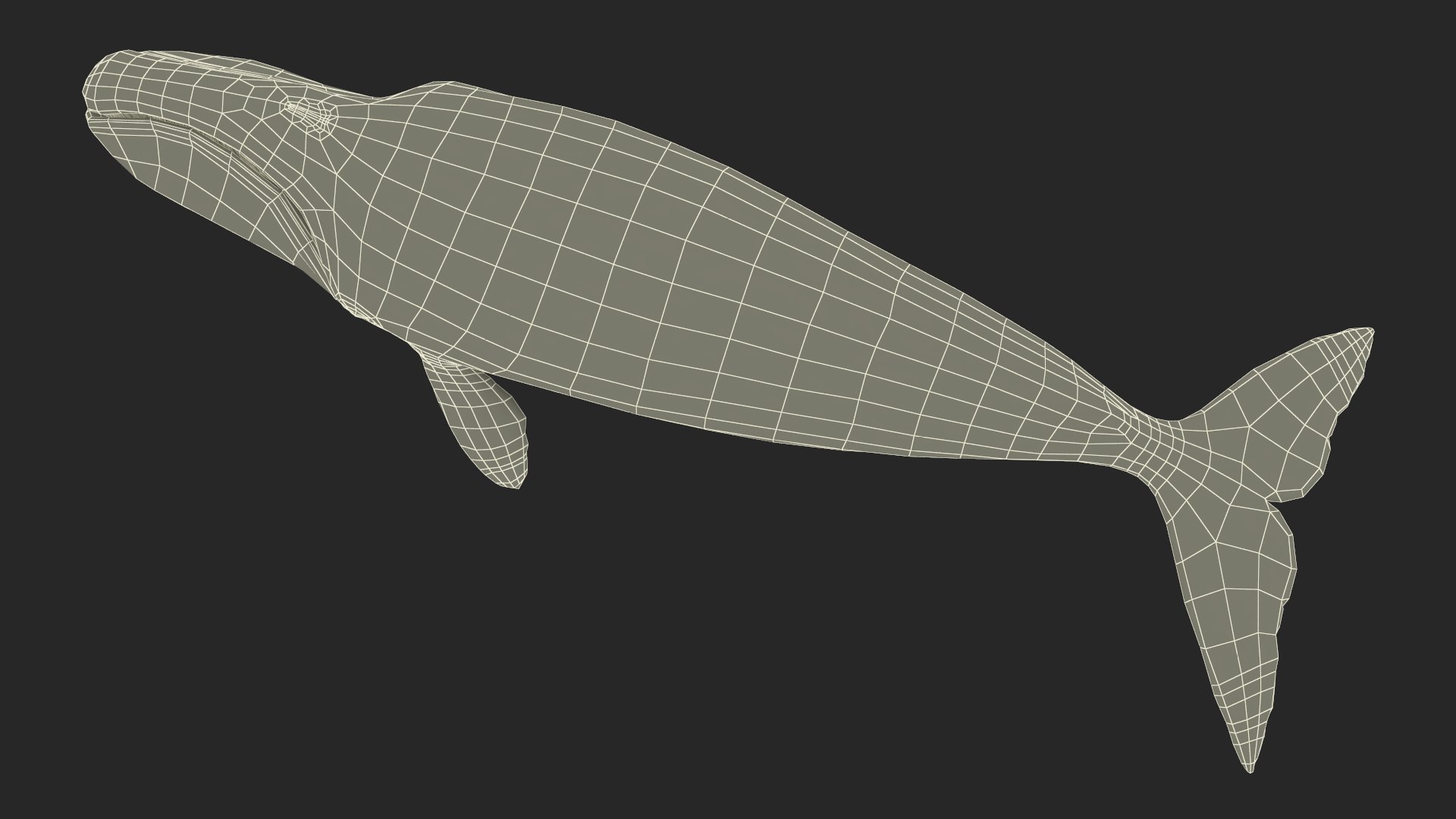 3D Bowhead Whale - TurboSquid 2113233