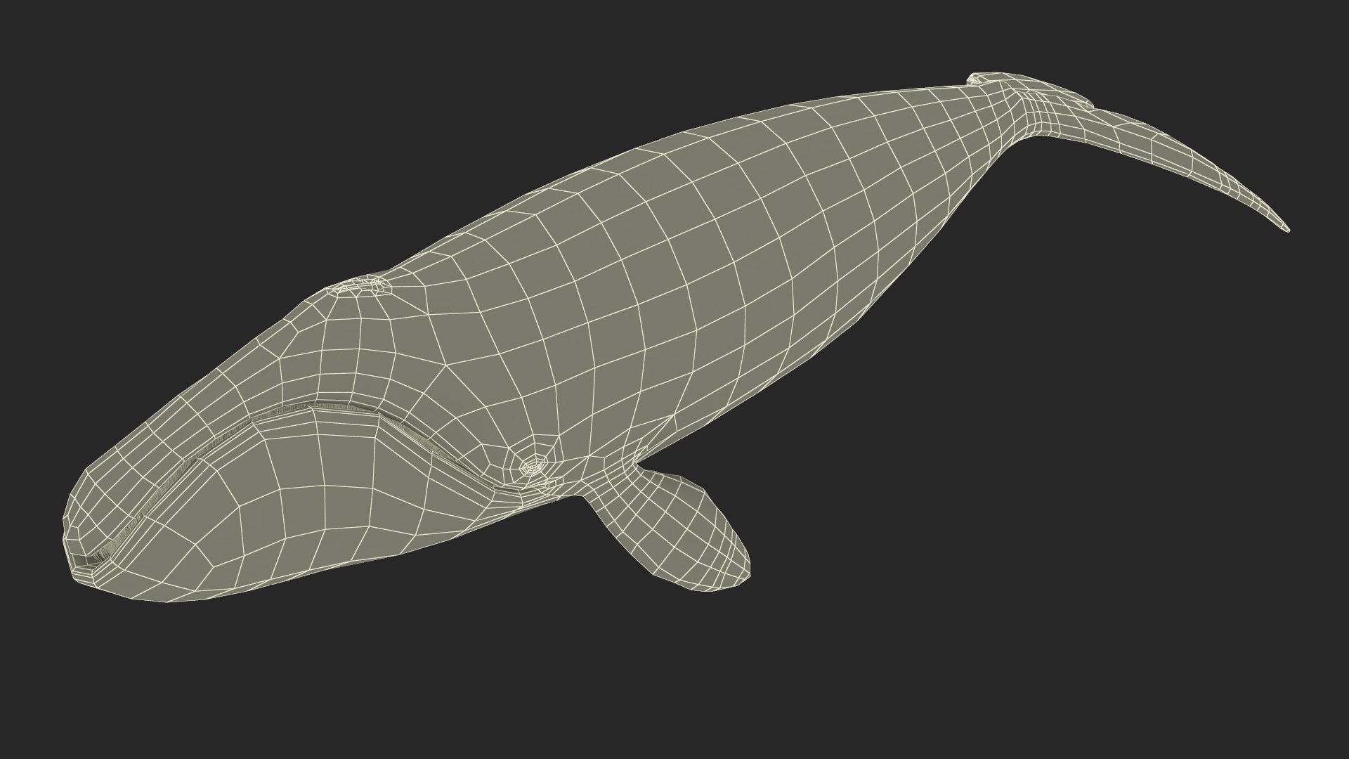 3D Bowhead Whale - TurboSquid 2113233