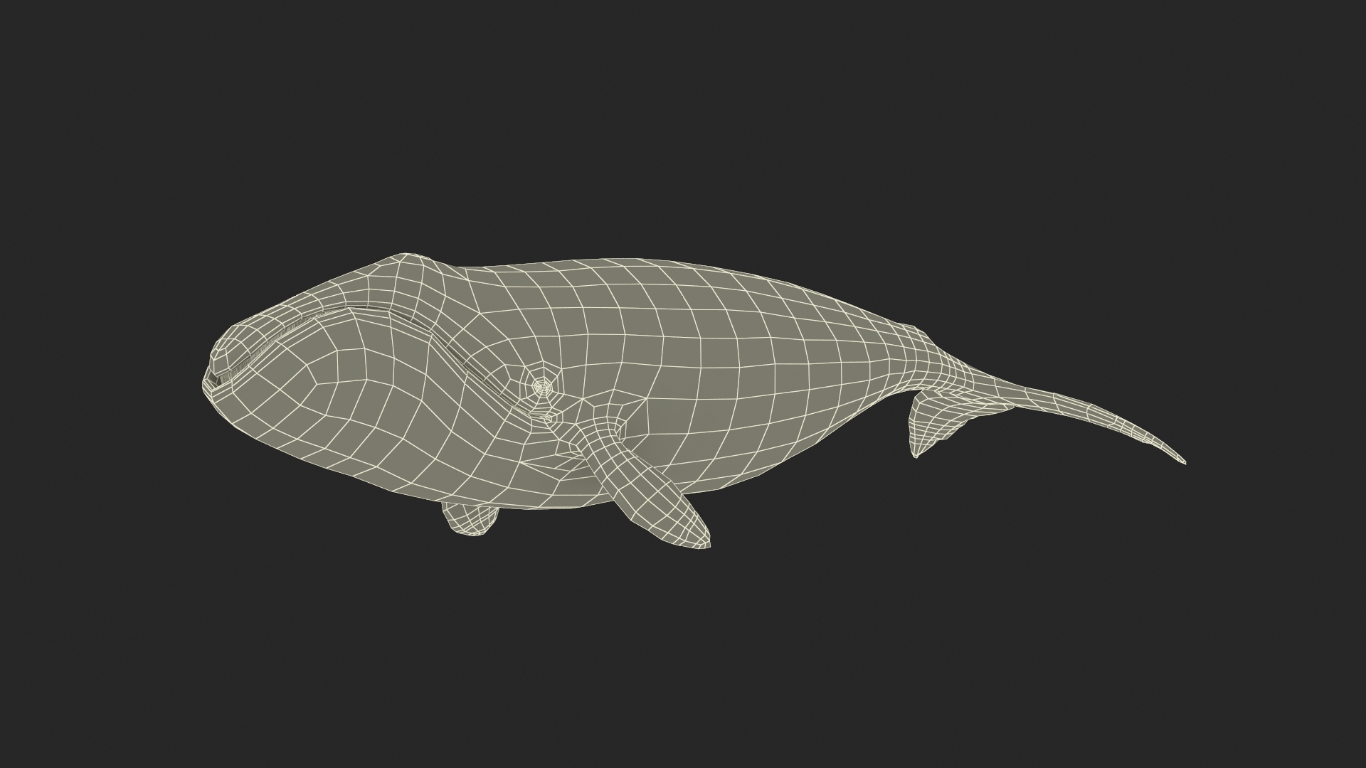 3D Bowhead Whale - TurboSquid 2113233