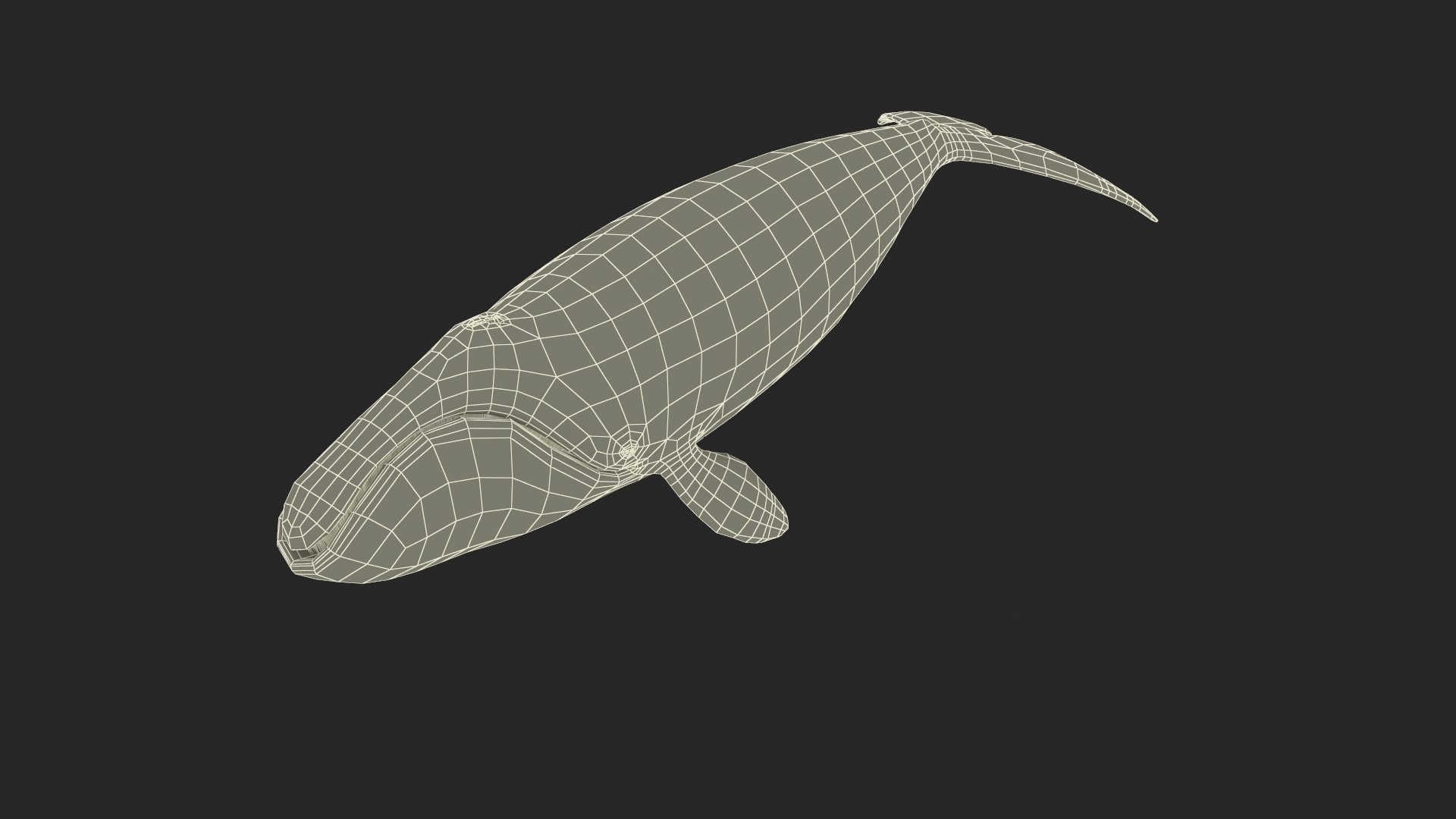 3D Bowhead Whale - TurboSquid 2113233