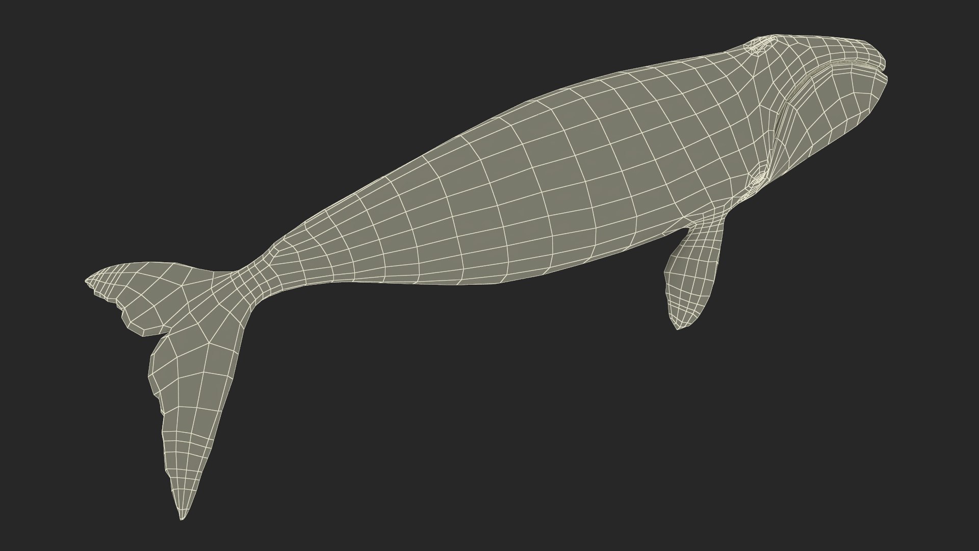 3D Bowhead Whale - TurboSquid 2113233
