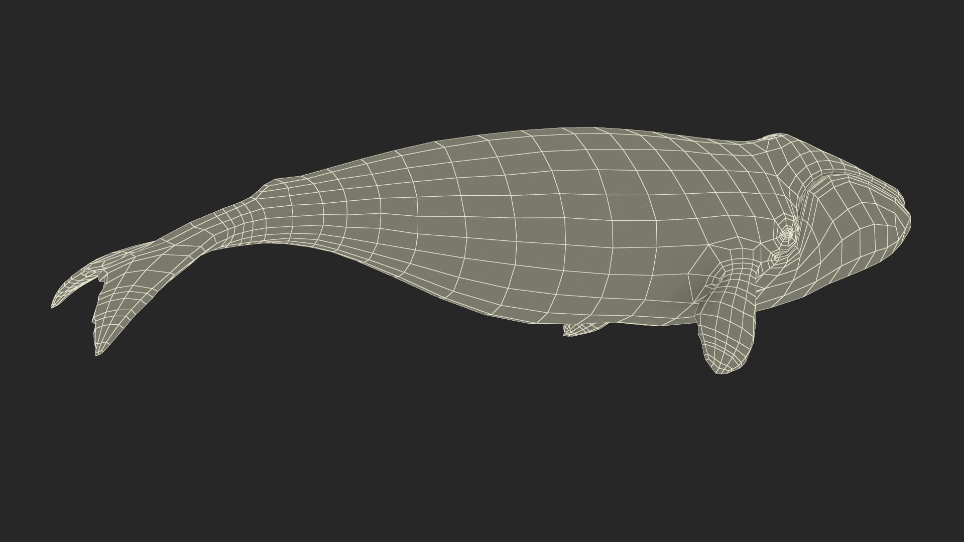 3D Bowhead Whale - TurboSquid 2113233