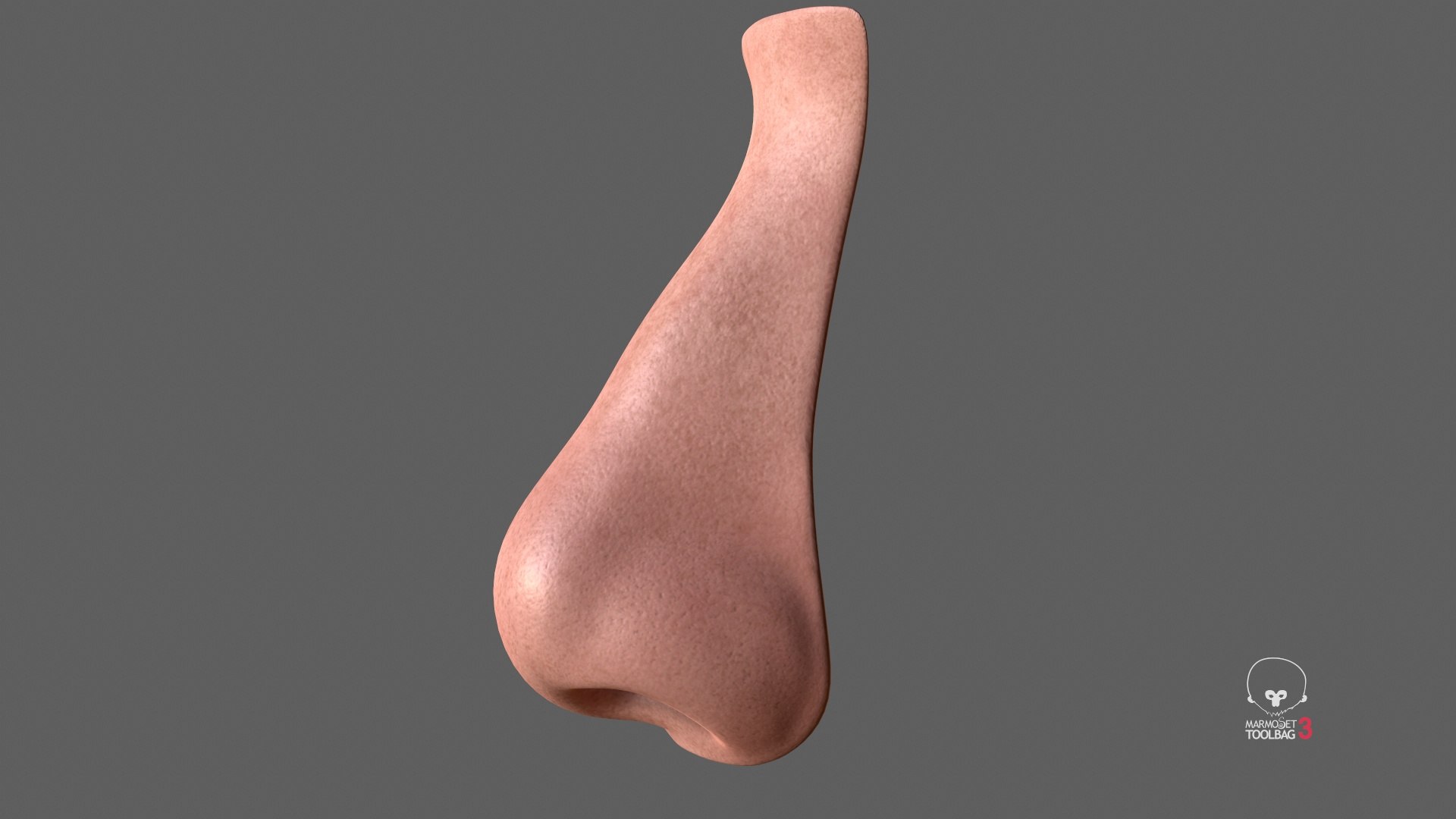 Human Nose Realistic V01 3D Model - TurboSquid 2380211