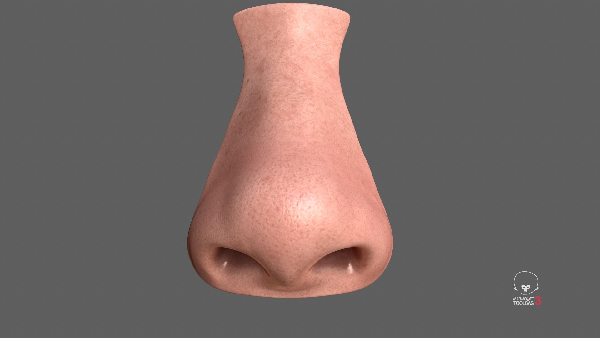 Human Nose Realistic V01 3D Model - TurboSquid 2380211