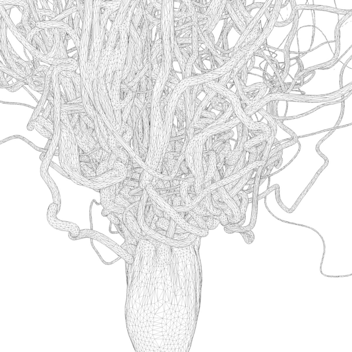 3d Model Neurons Details