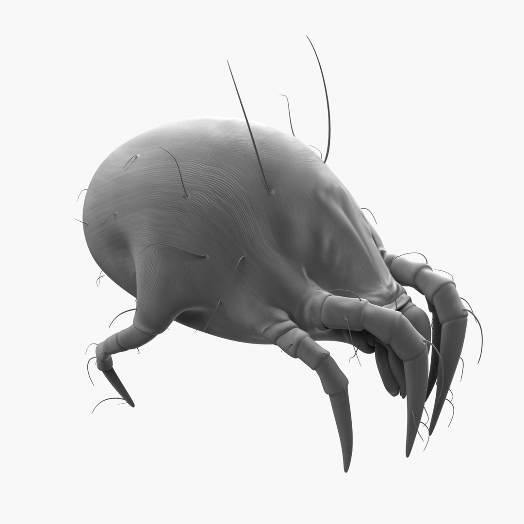 Max House Dust Mite