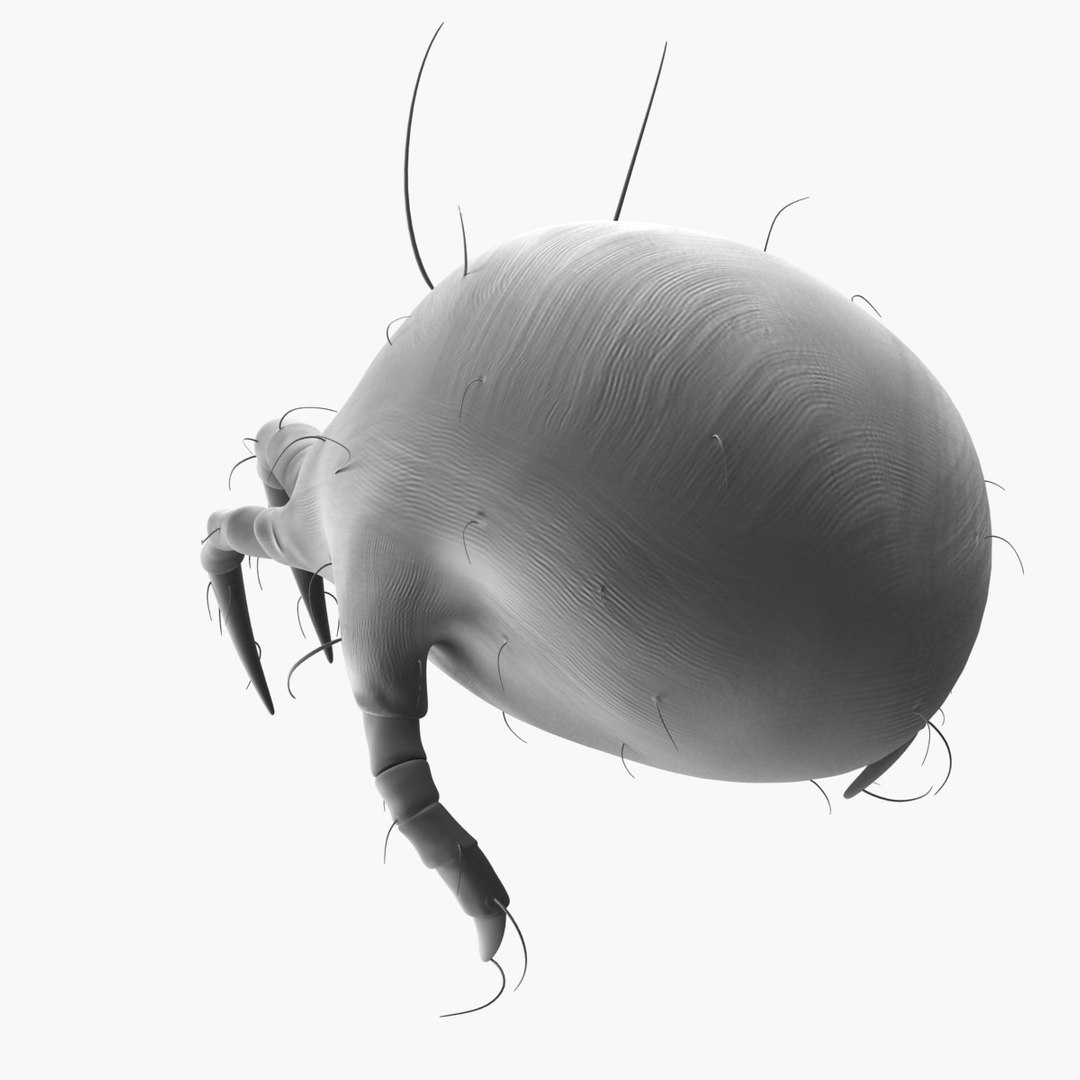 Max House Dust Mite