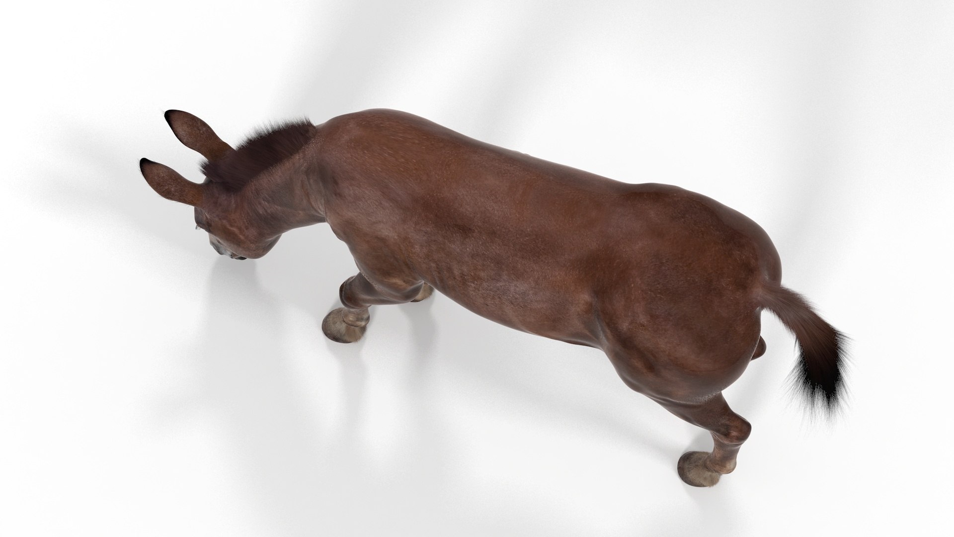 Eating Mule Dark Fur 3D - TurboSquid 2280761