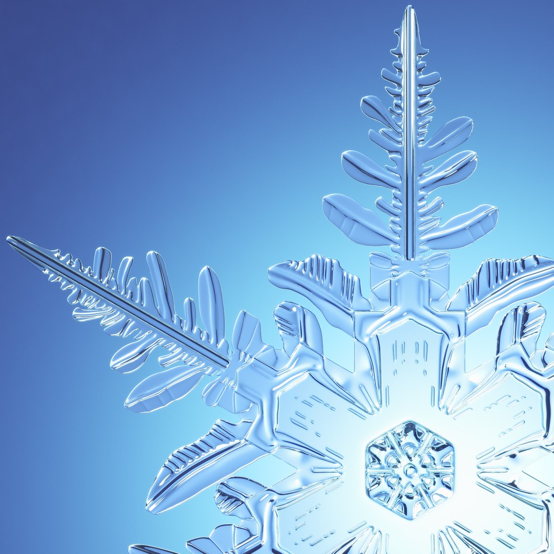 Snowflake New 3d Max