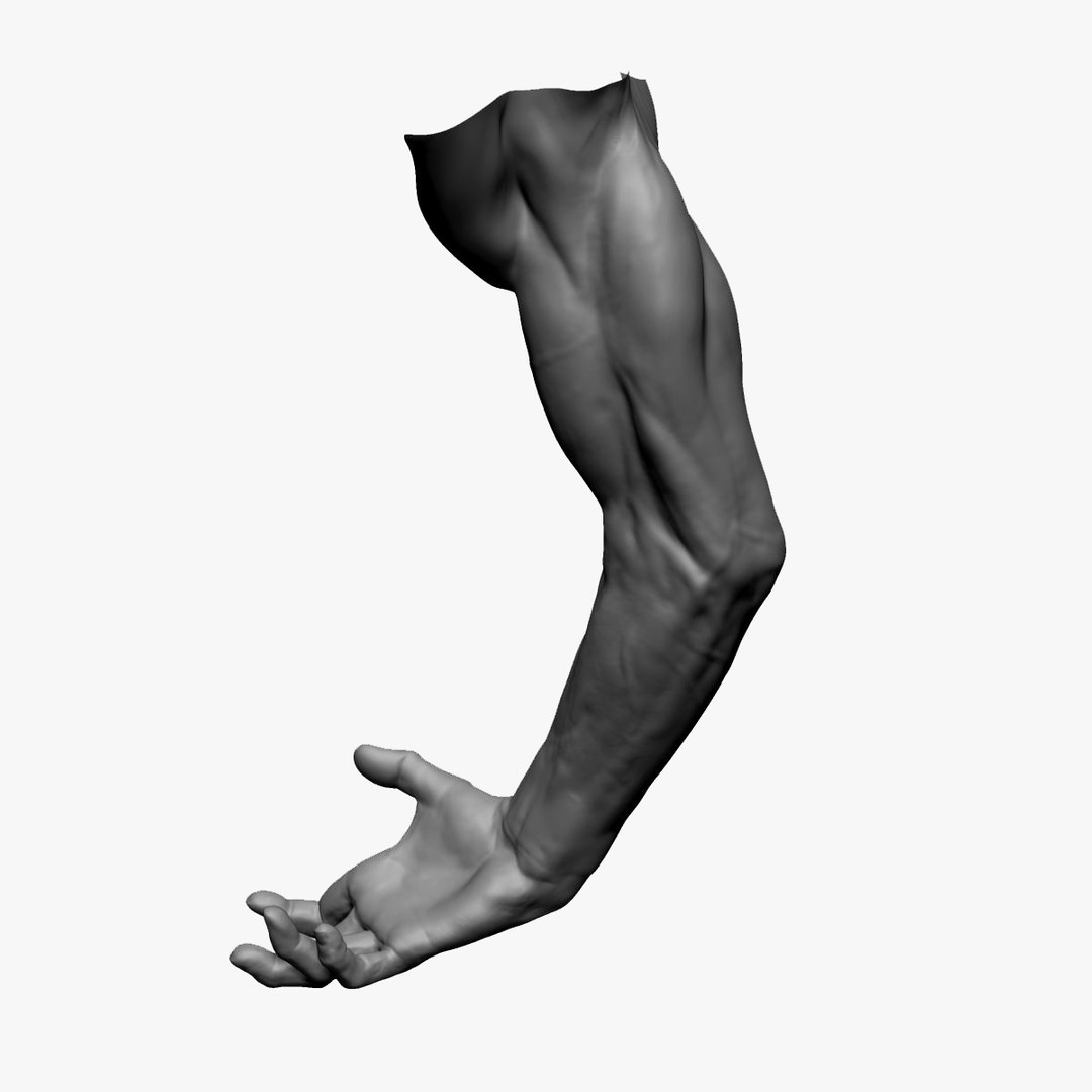 Arm Model A 3D model - TurboSquid 1926931