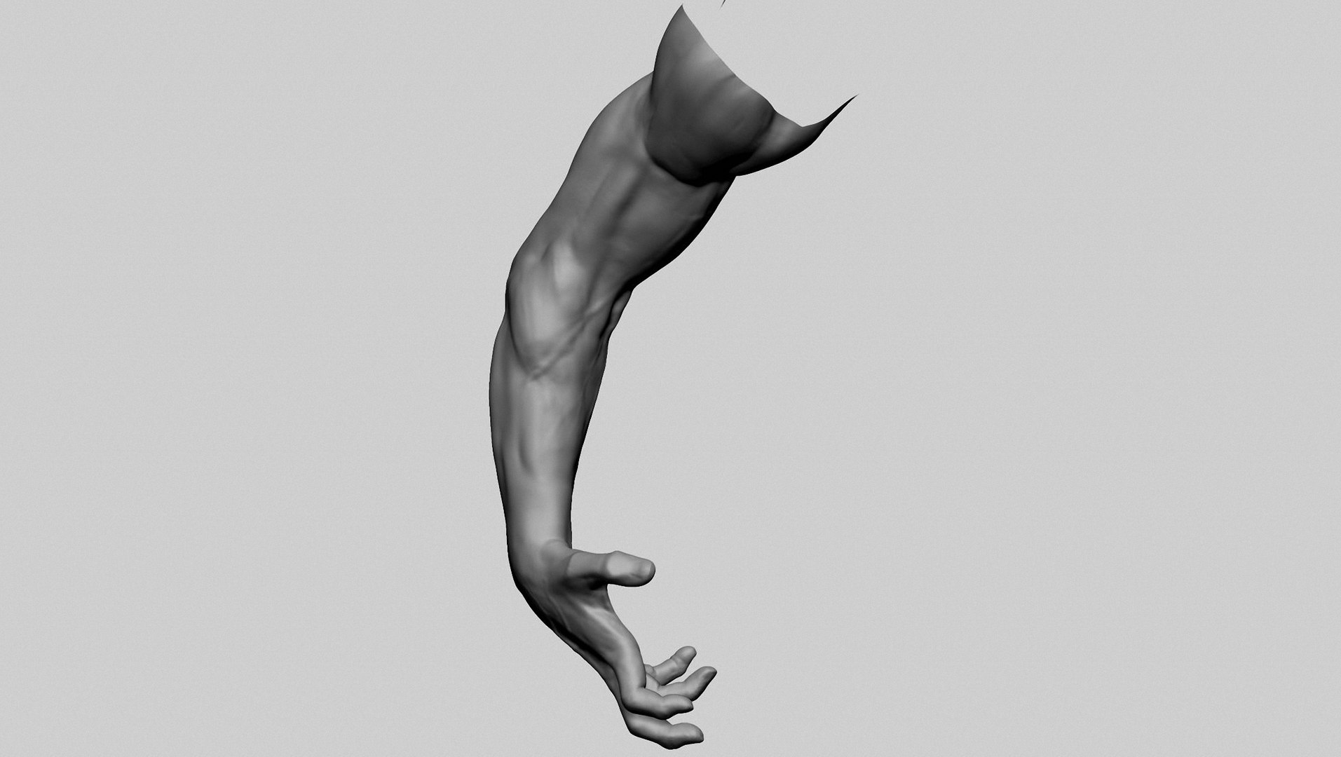 Arm Model A 3D Model - TurboSquid 1926931