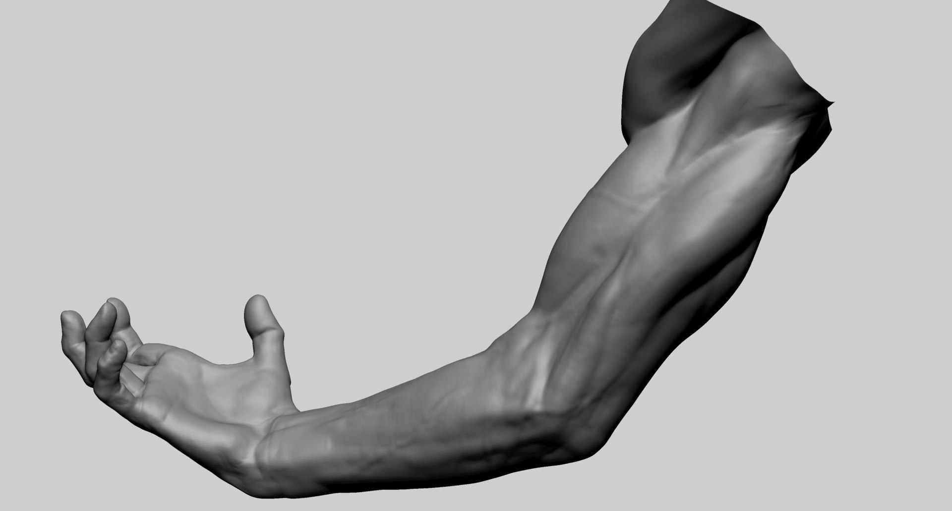Arm Model A 3D Model - TurboSquid 1926931
