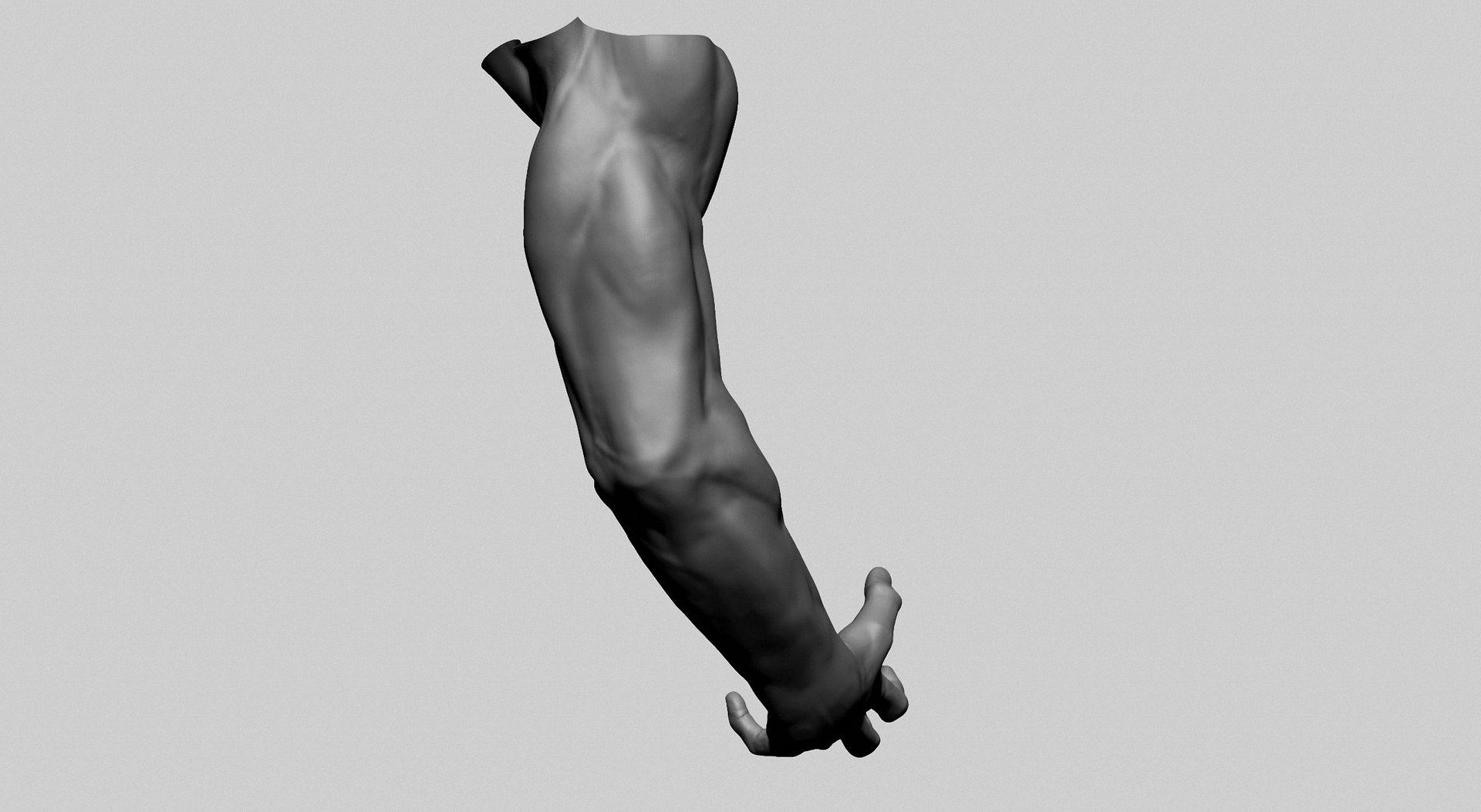 Arm Model A 3D Model - TurboSquid 1926931