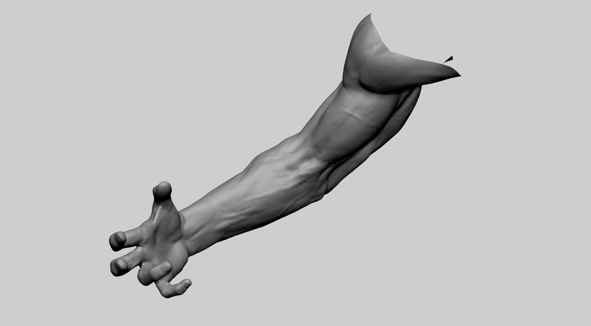 Arm Model A 3D Model - TurboSquid 1926931