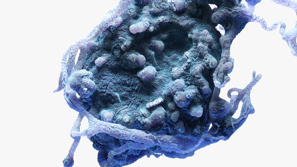 Cancer Cell Mutation 3D model - TurboSquid 1916066