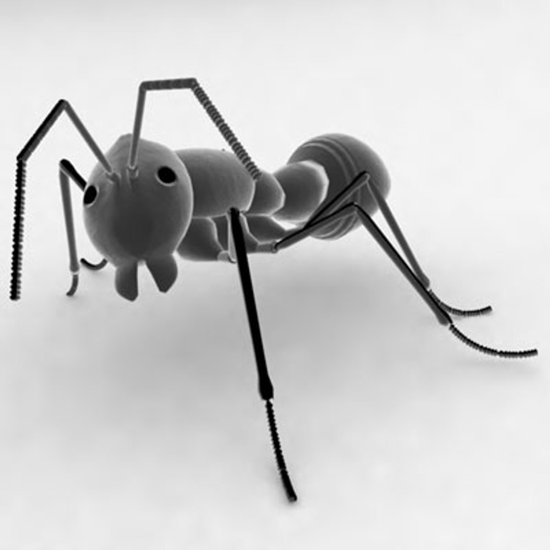 3d model ant