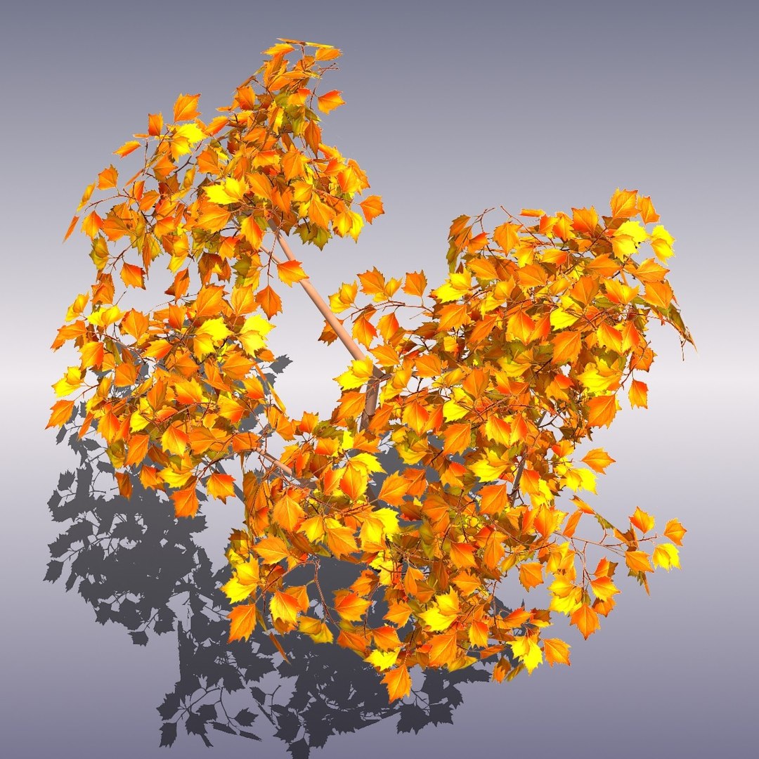 Autumn Orange Leaf Tree 3d Model