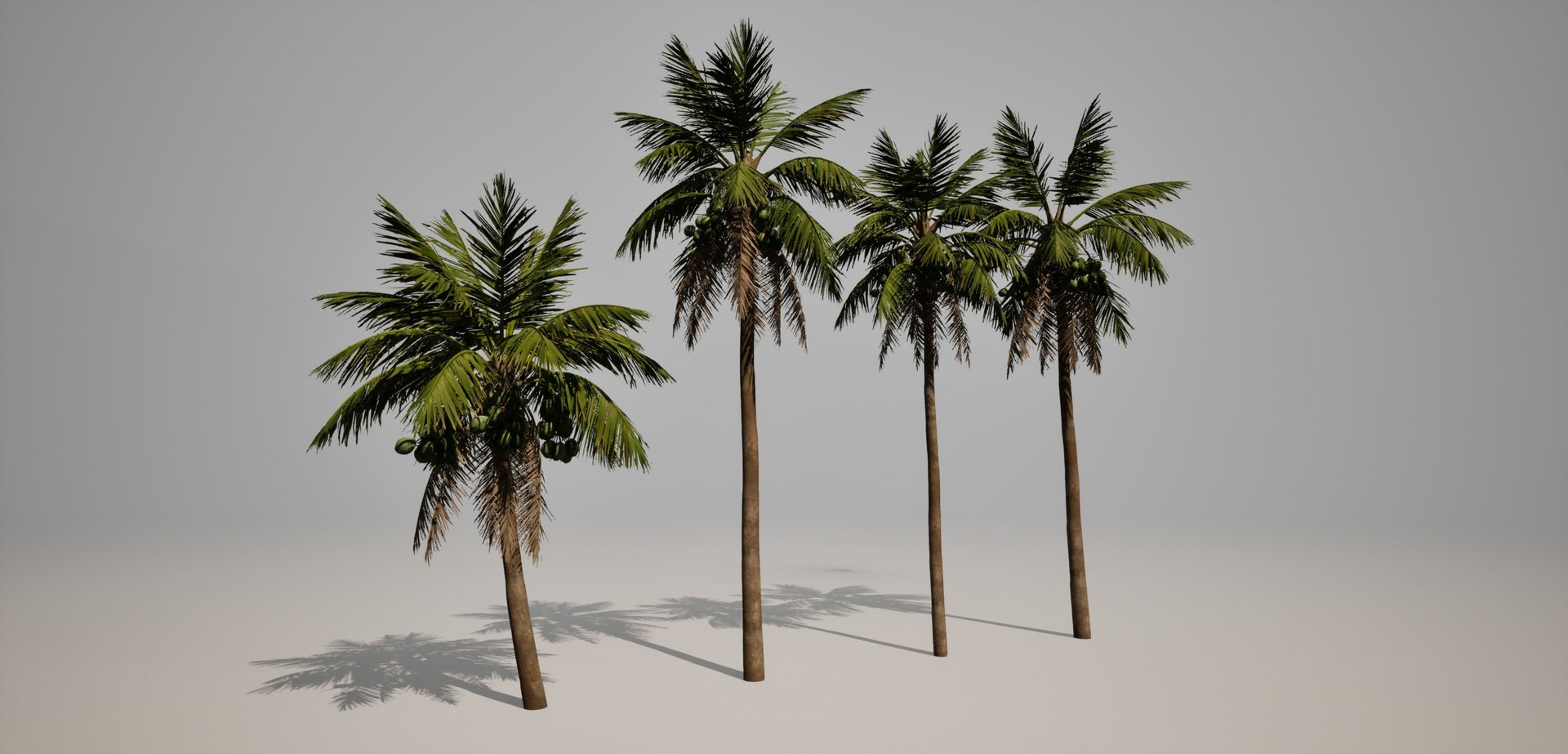 Palm Tree 3D Models 3D Model - TurboSquid 2213030