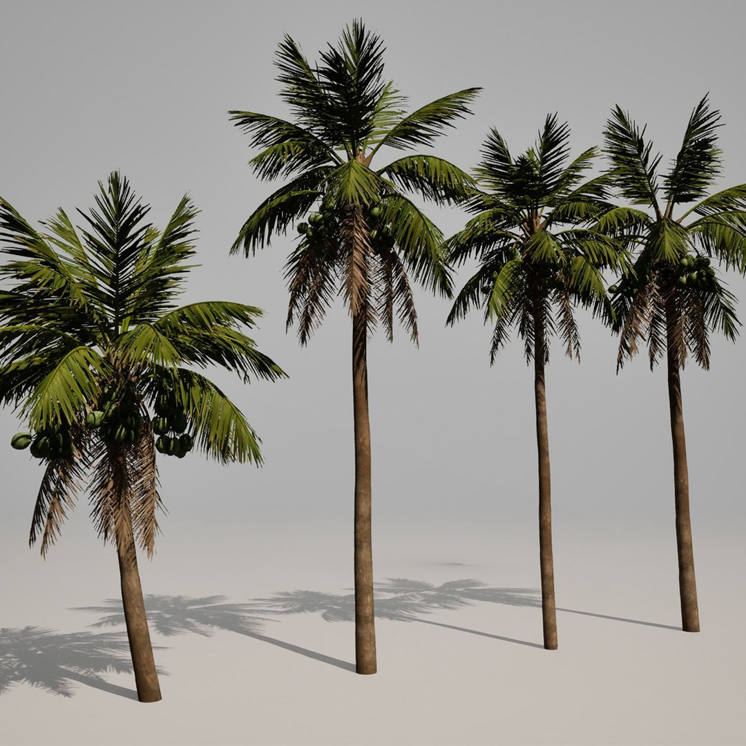 Palm Tree 3D Models 3D Model - TurboSquid 2213030