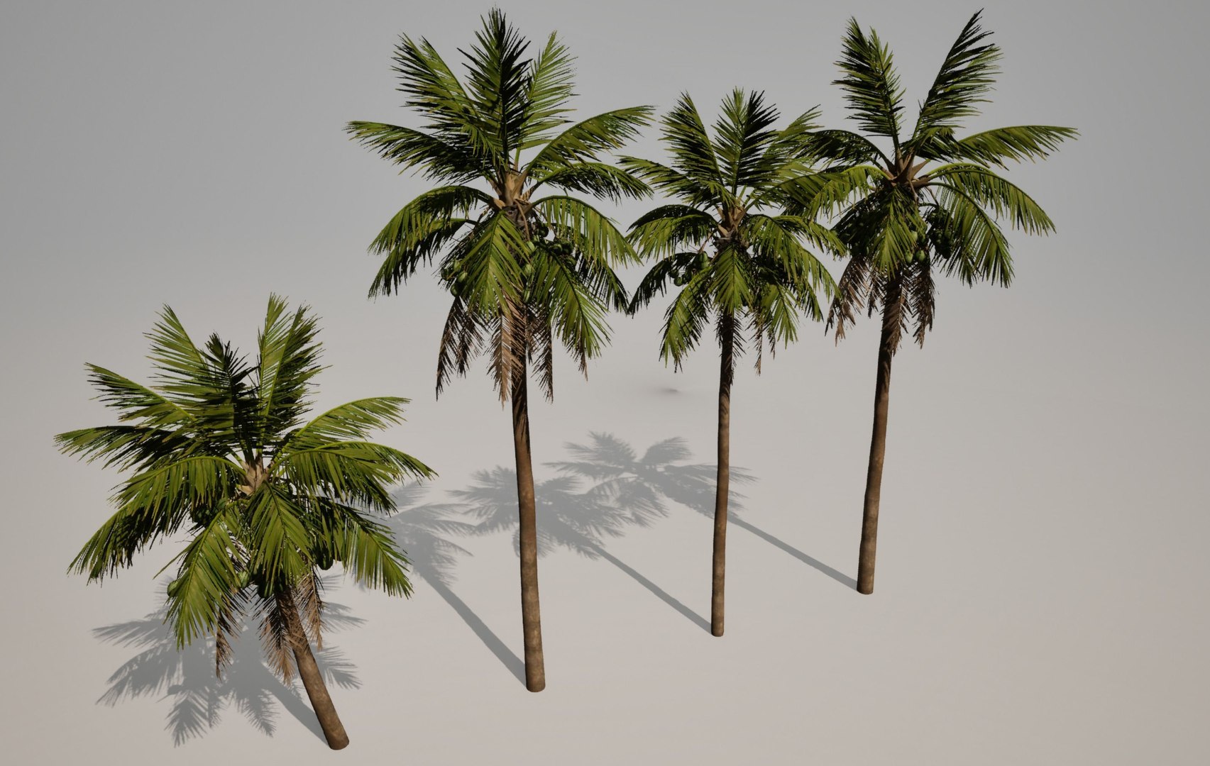 Palm Tree 3D Models 3D Model - TurboSquid 2213030