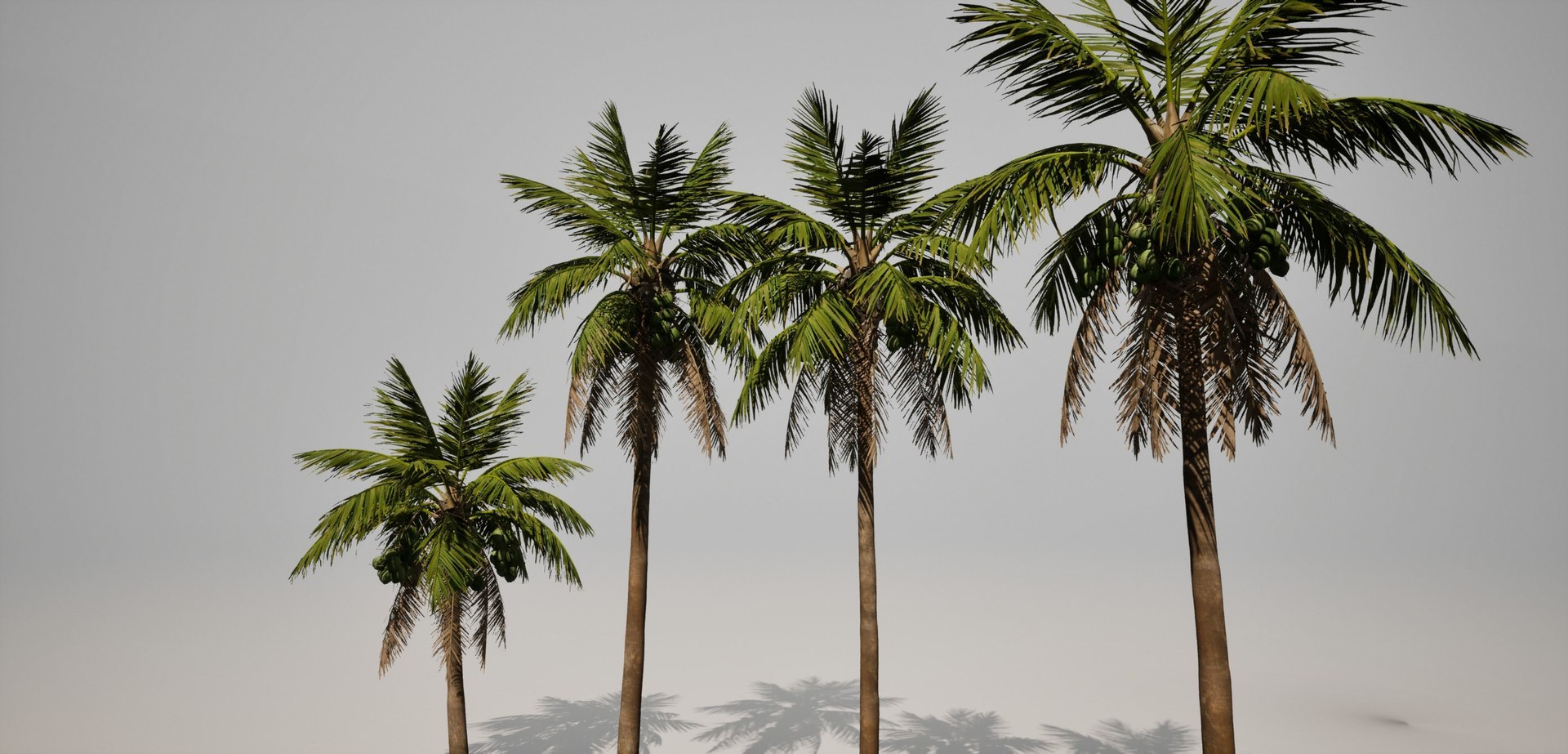 Palm Tree 3D Models 3D Model - TurboSquid 2213030