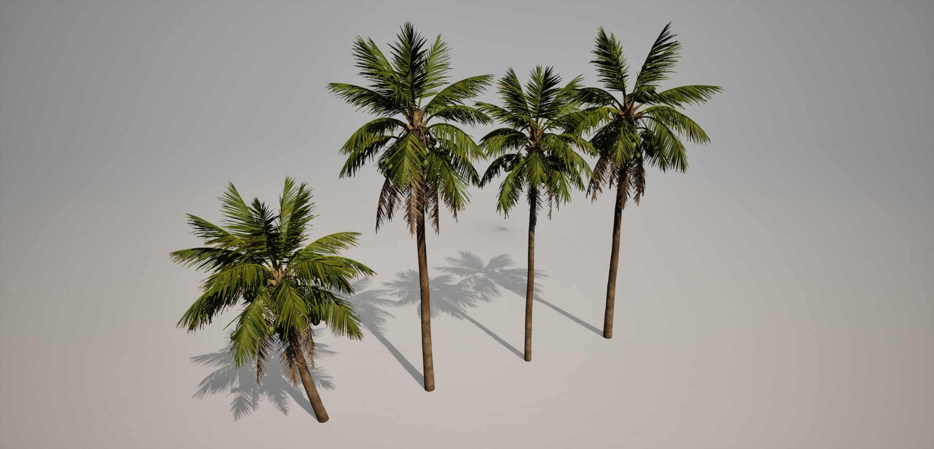 Palm Tree 3D Models 3D Model - TurboSquid 2213030