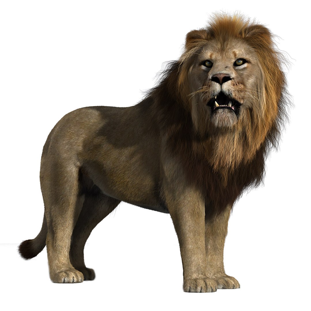 Maya African Animals Vol 2