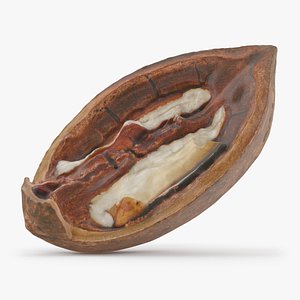 3D Pecan Models - Browse & Download Formats - TurboSquid