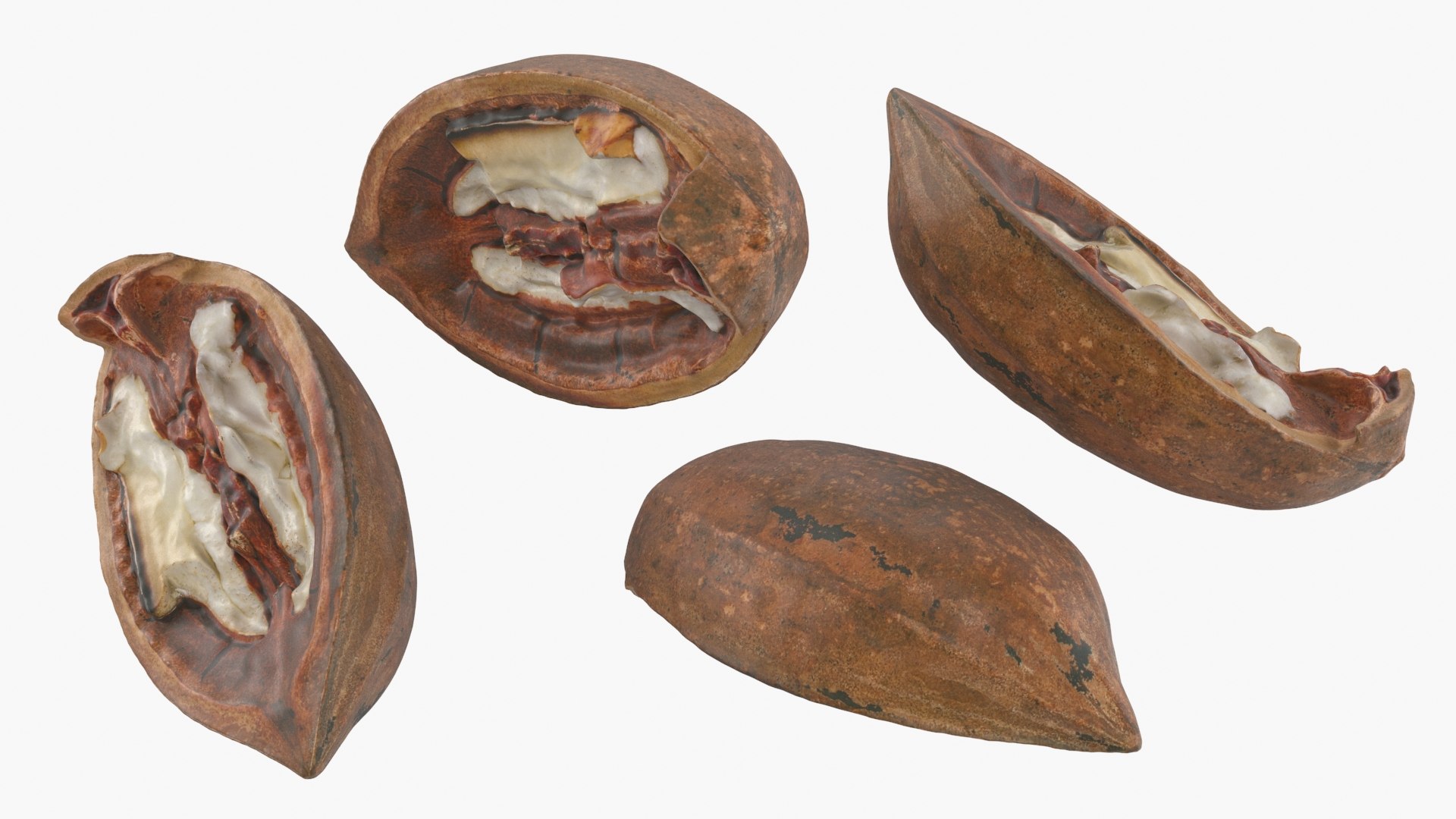 3D Pecan Nut Shell Open 02 - TurboSquid 2023934