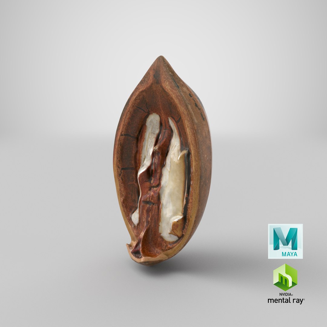3D Pecan Nut Shell Open 02 - TurboSquid 2023934