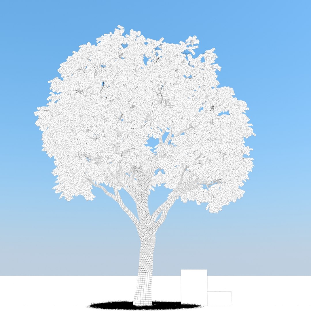 realistic robinia trees max