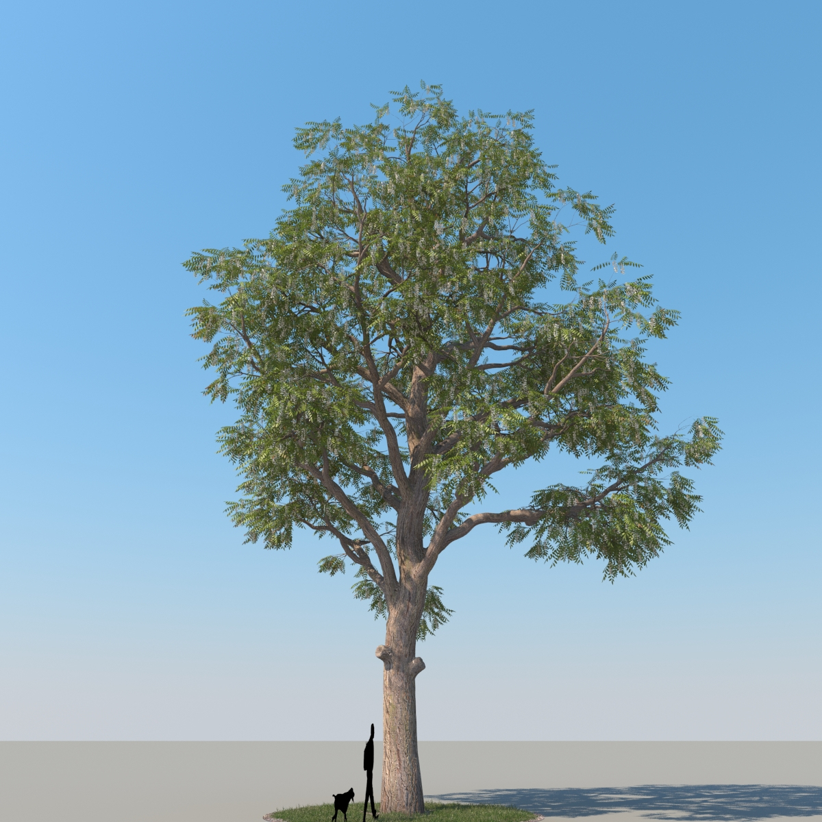 realistic robinia trees max
