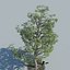 Realistic Robinia Trees Max