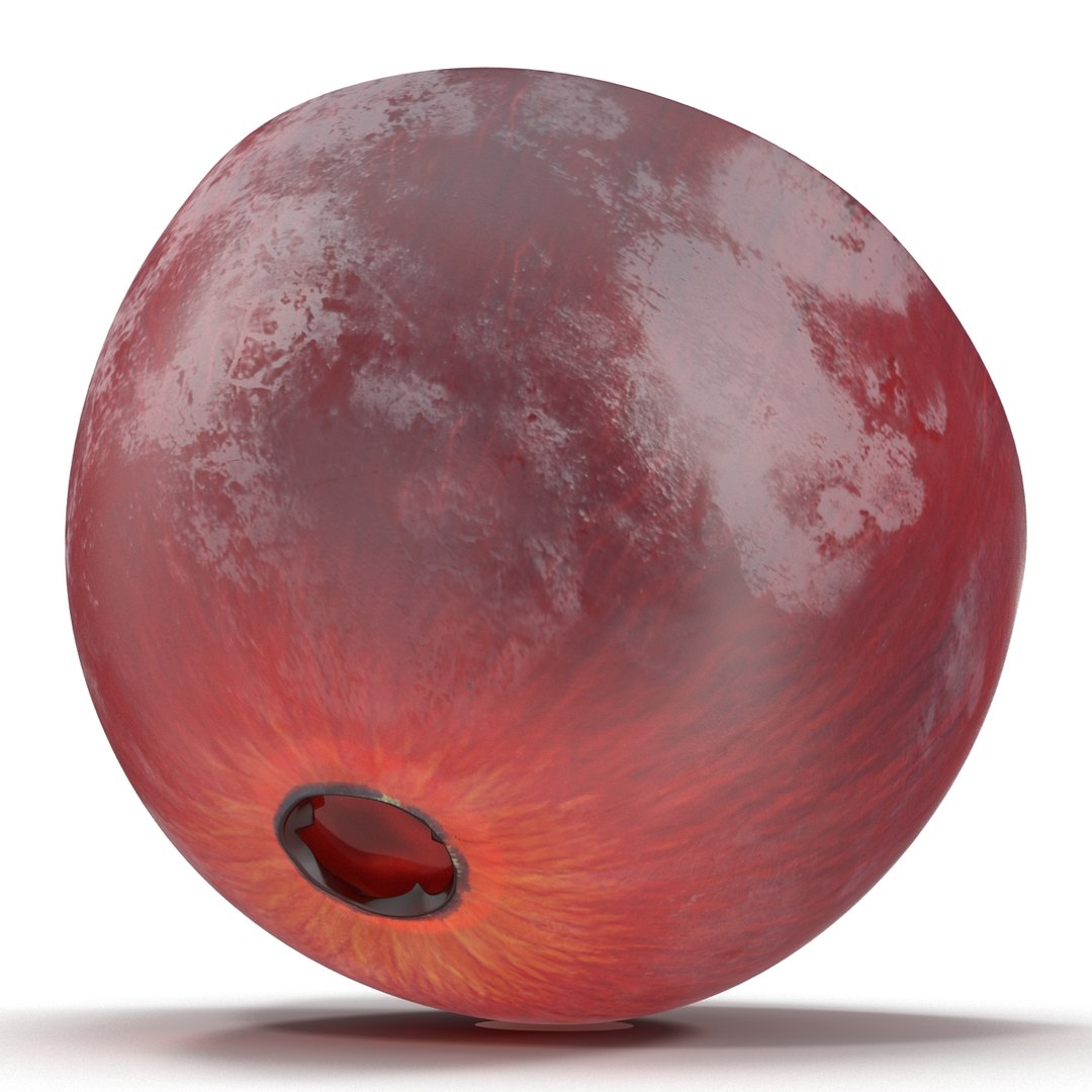 max red grape cross section