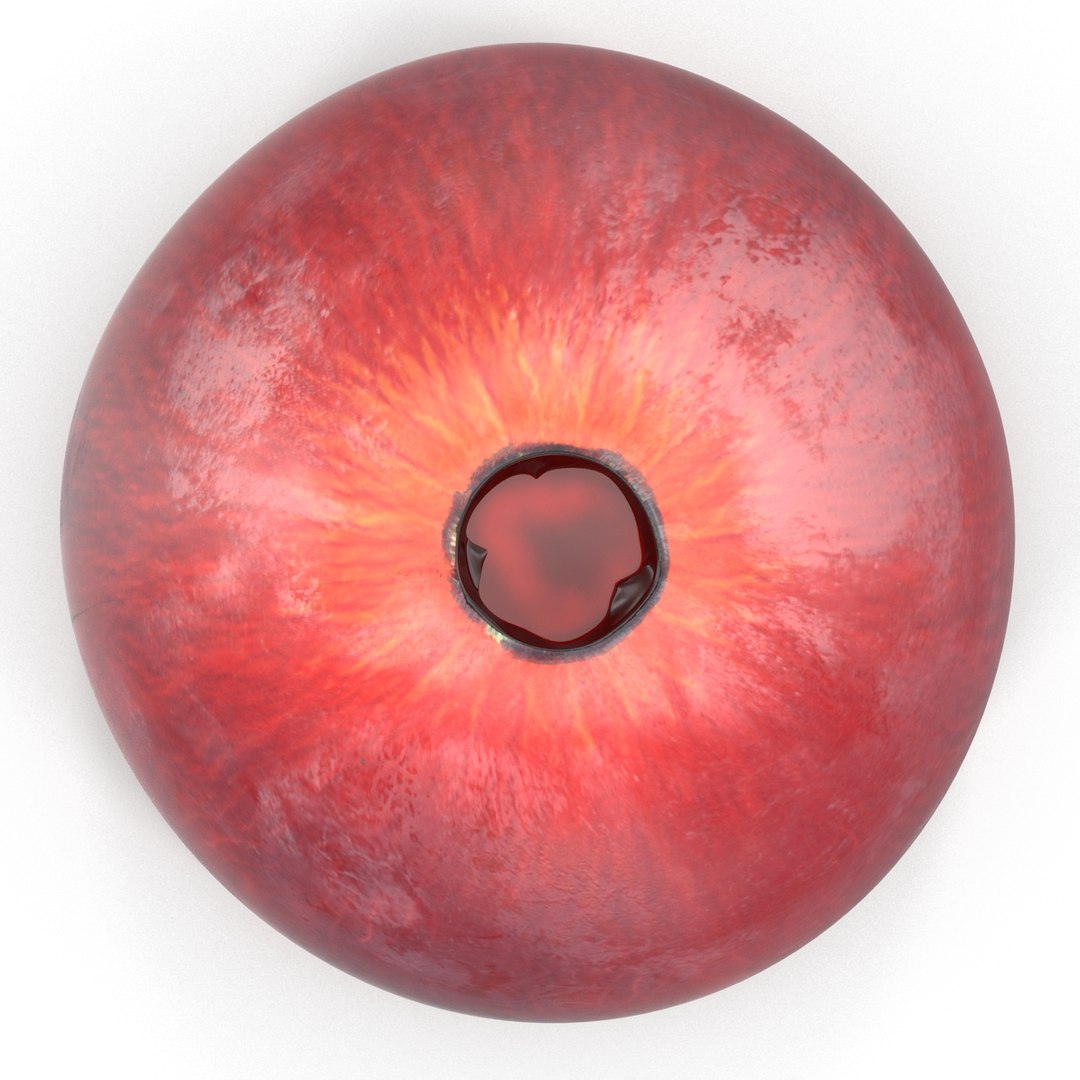 max red grape cross section