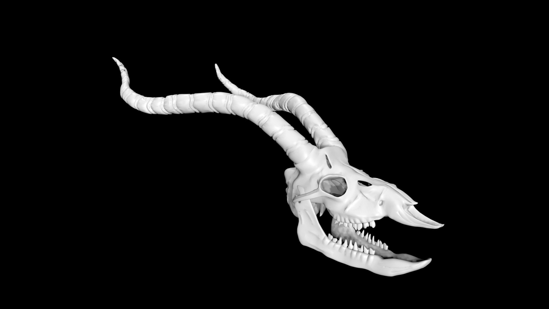 Antelope Skull 3D Model - TurboSquid 1880834