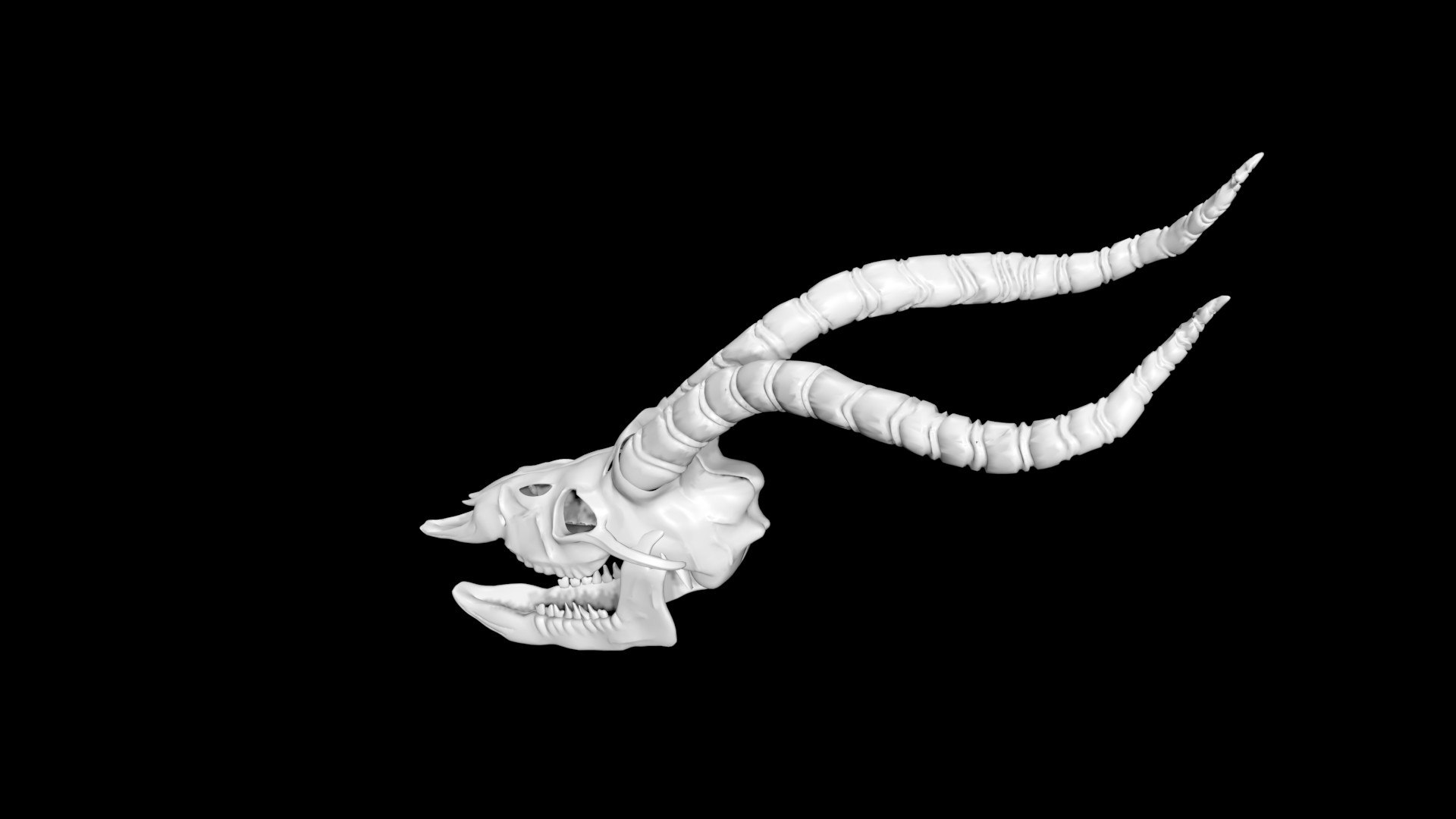 Antelope Skull 3D Model - TurboSquid 1880834