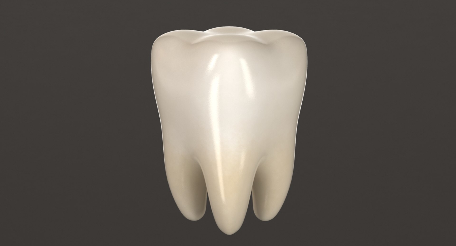 Teeth 3d Model