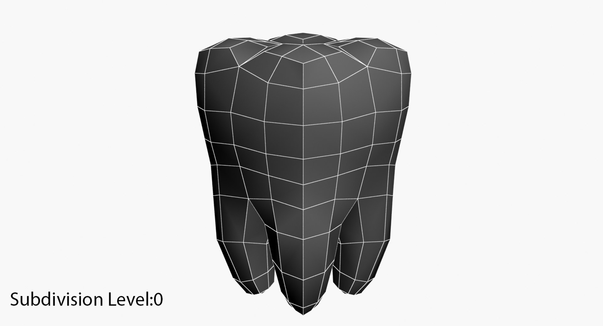 Teeth 3d Model
