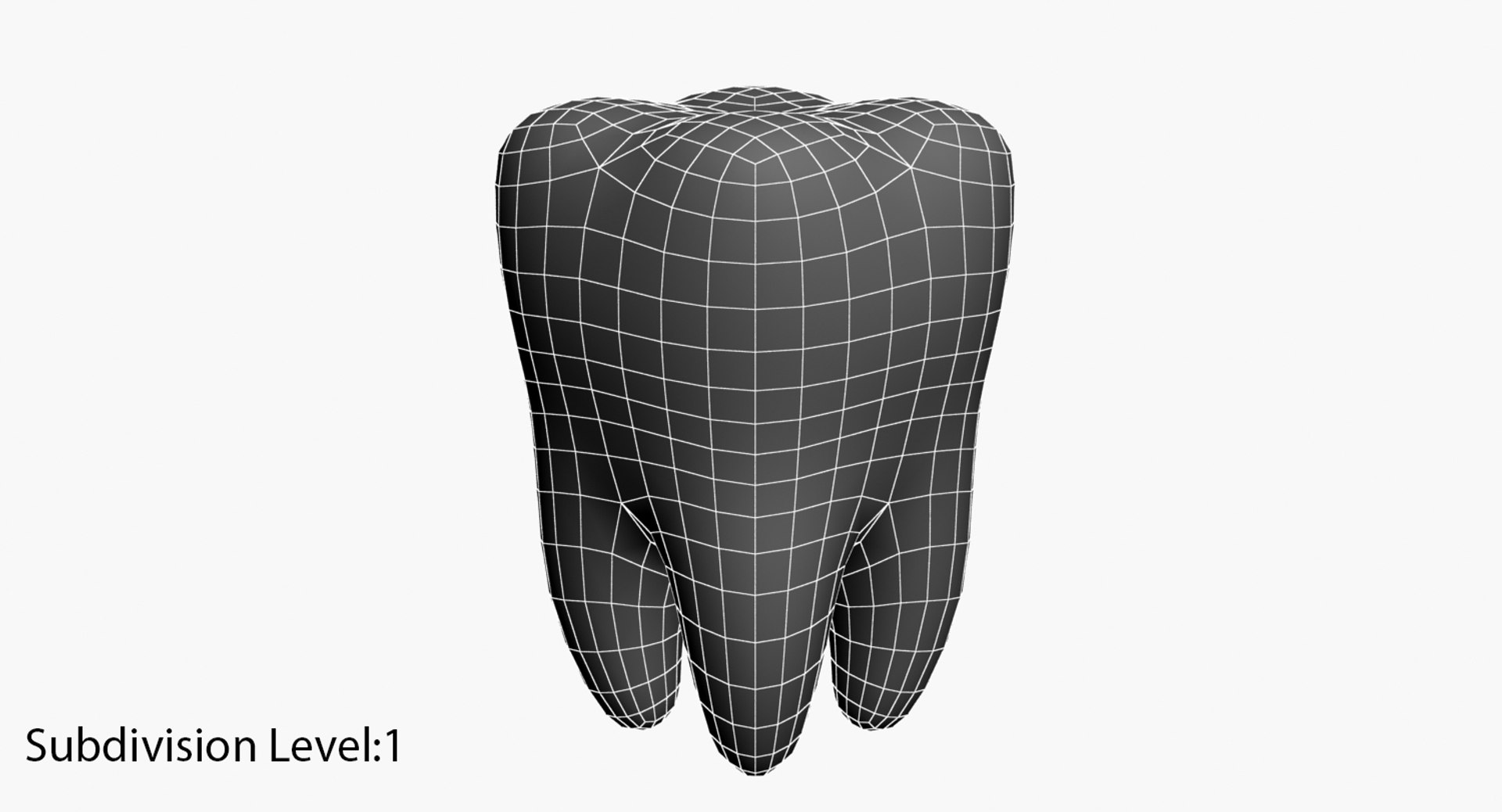 Teeth 3d Model